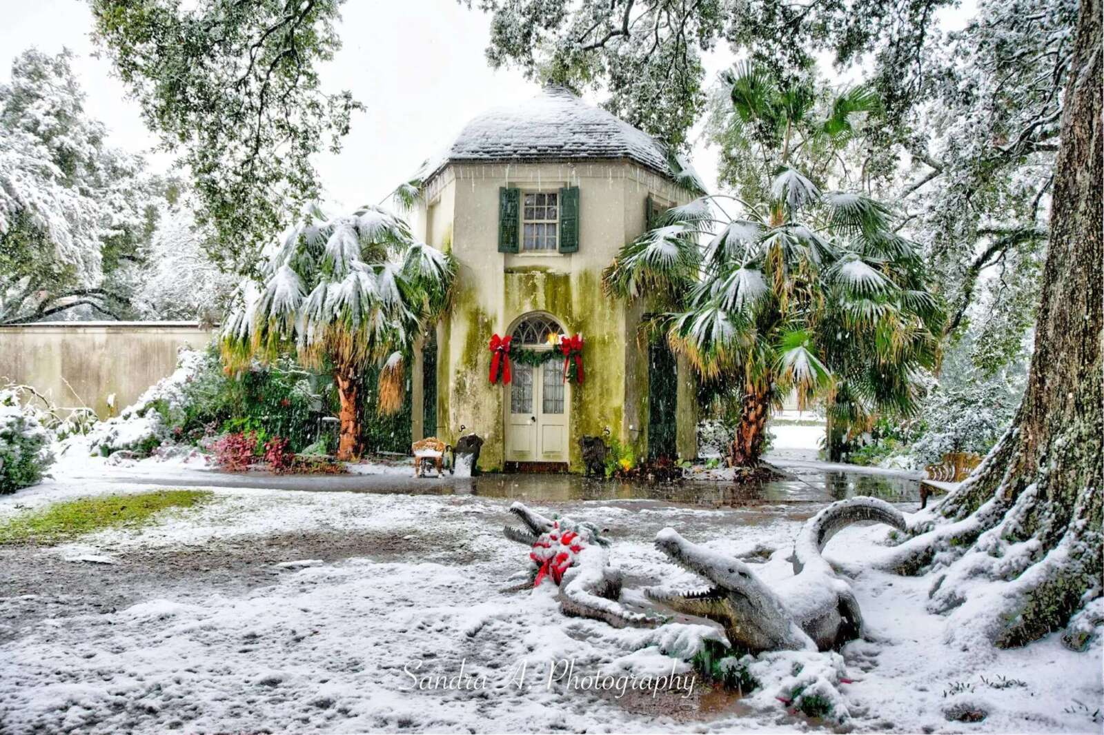 Photo Gallery - Houmas House Plantation